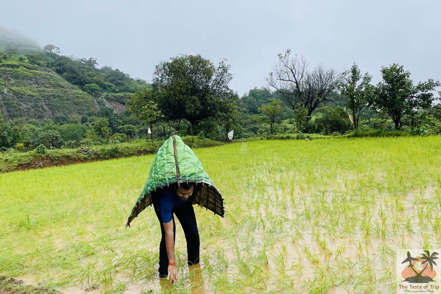 Khandi - The Village of Beautiful Waterfalls - The Taste of Trip