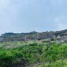 Khandi - The Village of Beautiful Waterfalls - The Taste of Trip